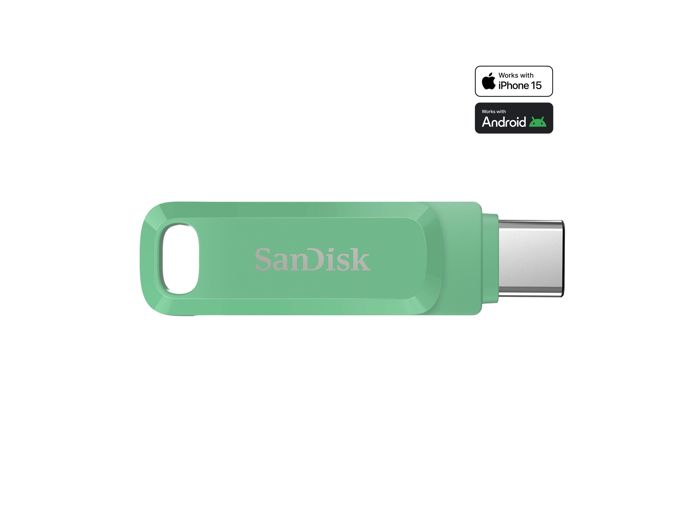 SanDisk Ultra Dual Drive Go 1TB USB-C | Future-X